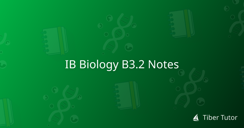 IB Biology B3.2 Notes » Tiber Tutor